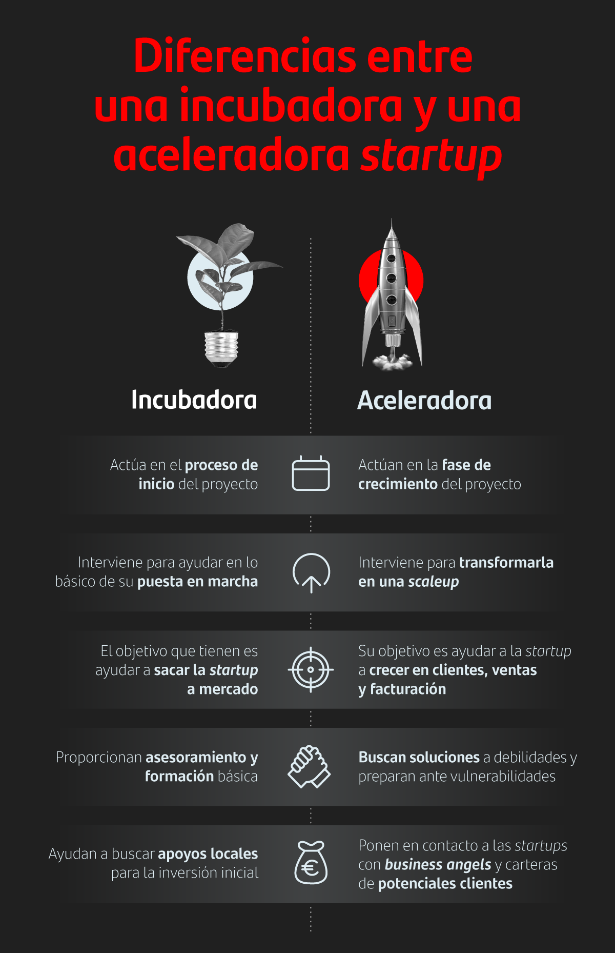 Diferencias entre incubadora y aceleradora de startups